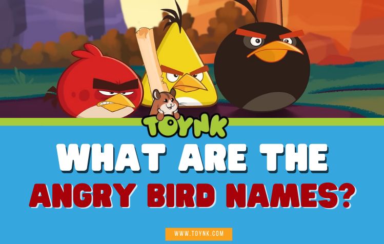 What Are The Angry Bird Names? Popular List (2024 Updated)