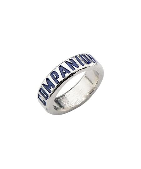 Doctor Who Stainless Steel Companion Ring | Free Shipping