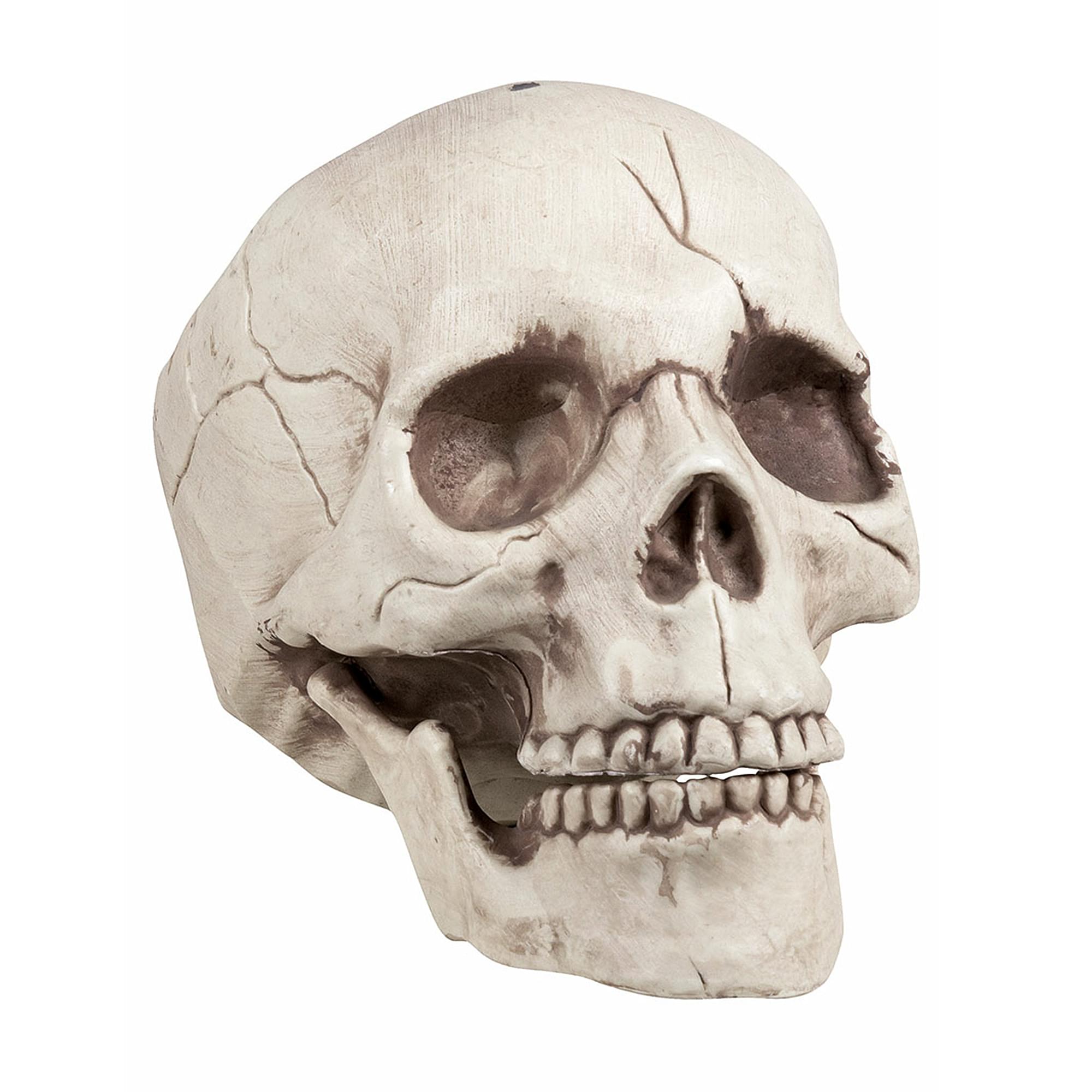 Skull With Movable Jaw Halloween Decoration | Free Shipping