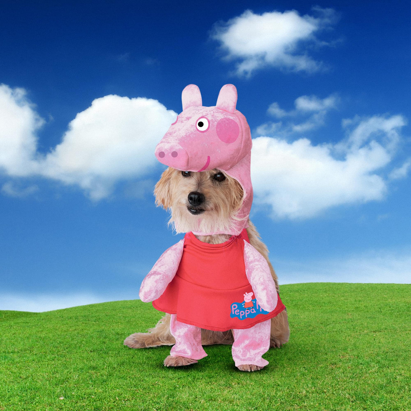 Peppa Pig Pet Costume | Free Shipping