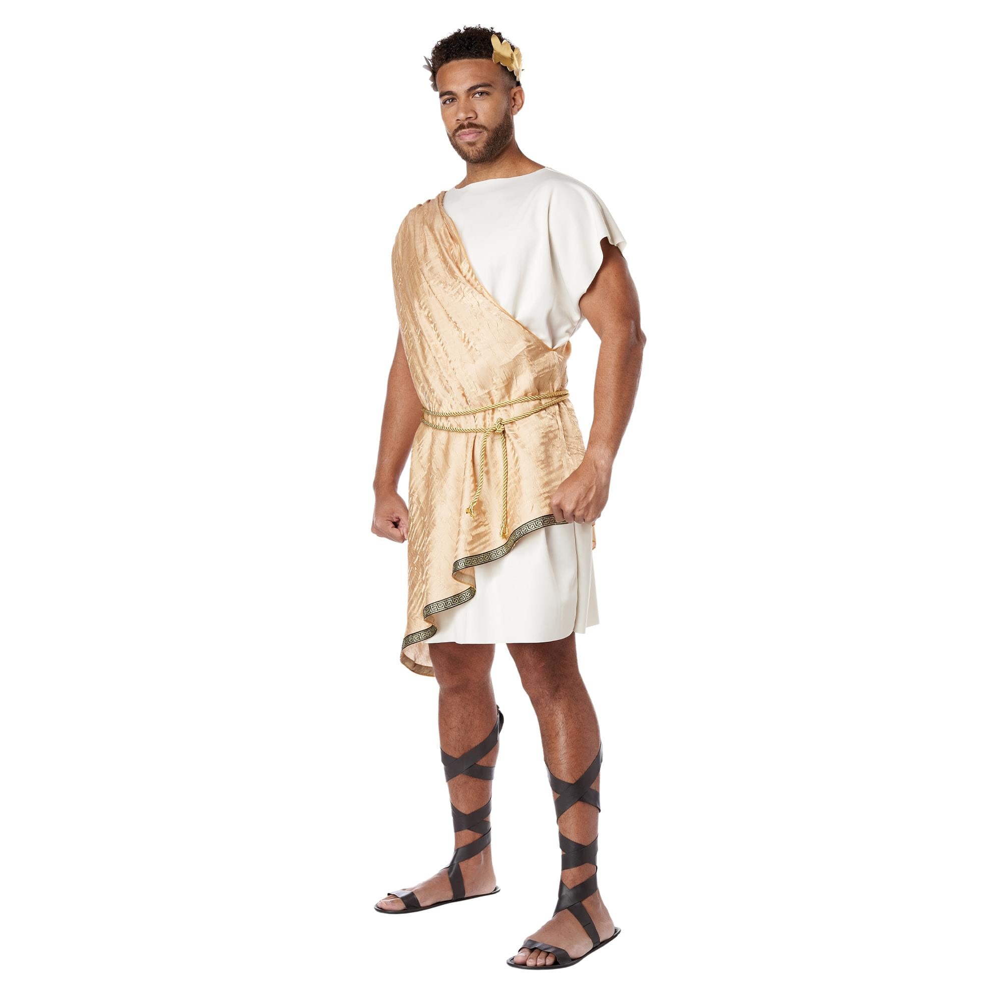 Greek God Toga Plus Size Adult Costume | Free Shipping