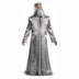 Harry Potter Dumbledore Deluxe Adult Costume | Free Shipping