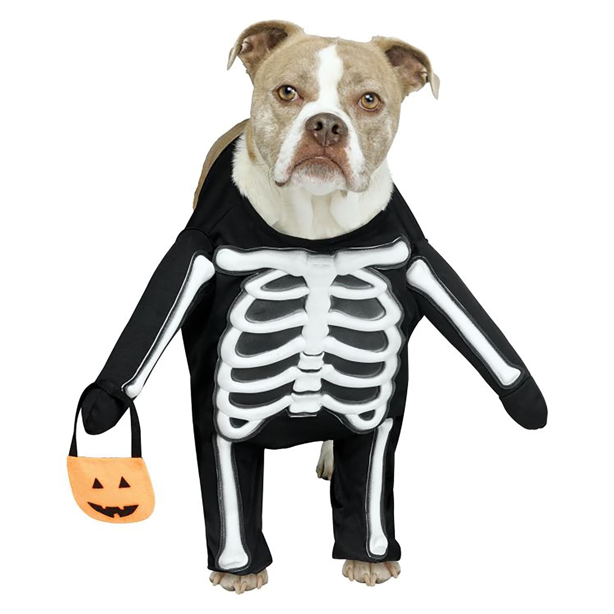 Skele-Dog Pet Costume | Free Shipping