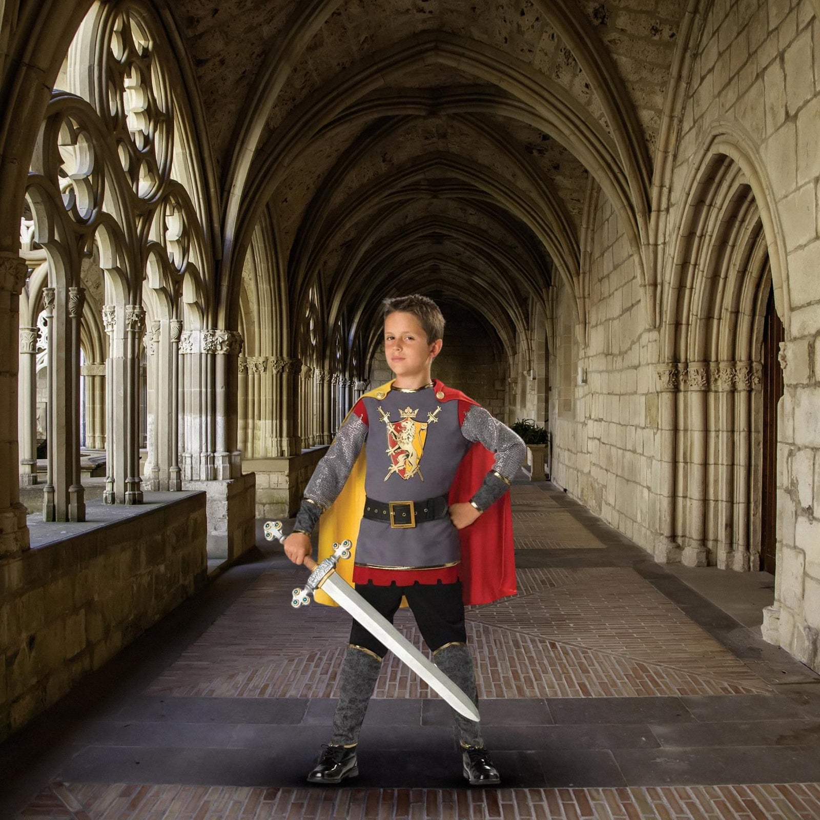 Loyal Knight Deluxe Child Costume | Free Shipping