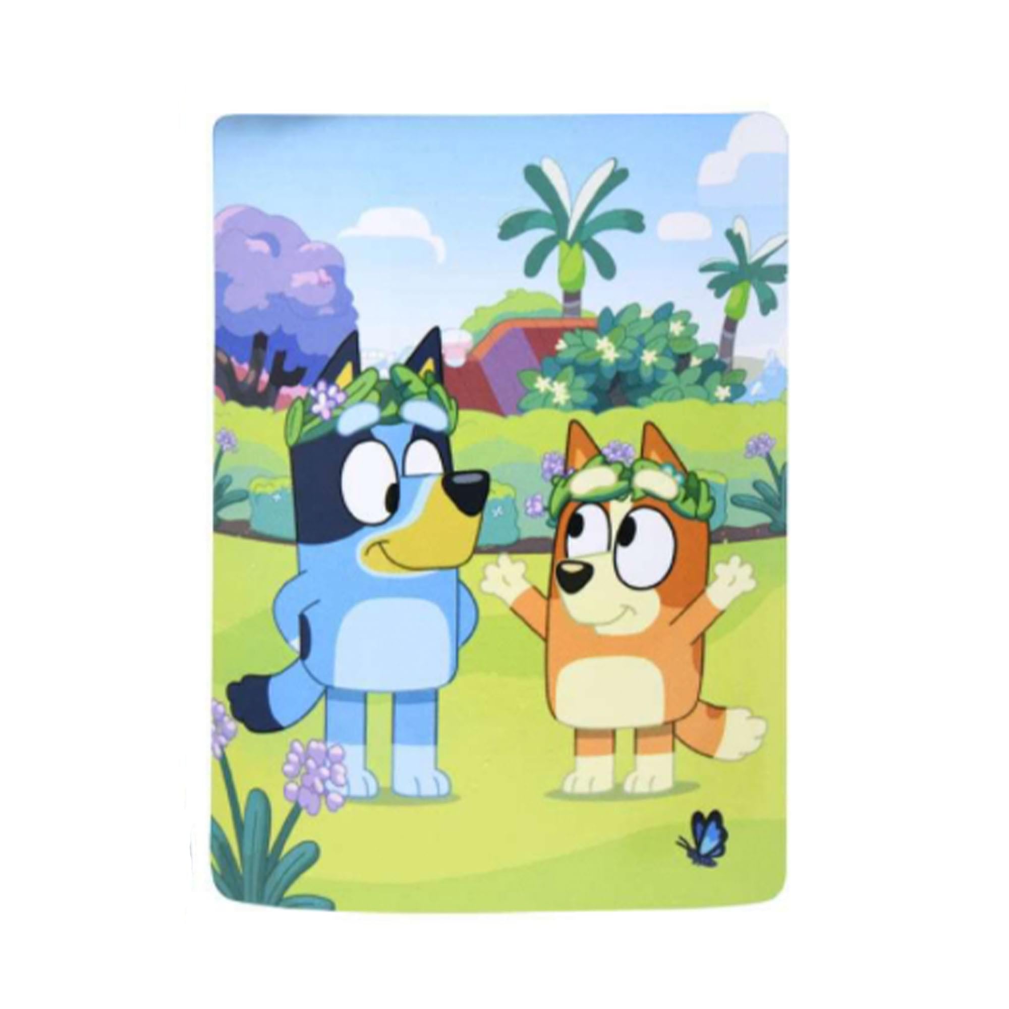 Bluey & Bingo 46 x 60 Inch Silk Touch Blanket | Free Shipping