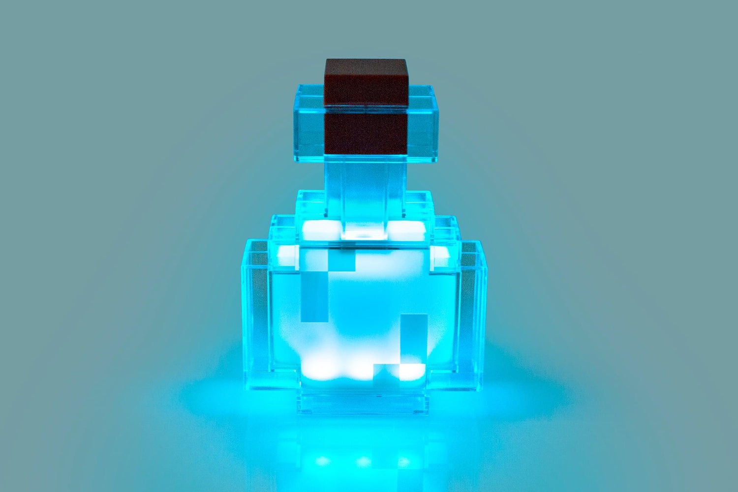 Minecraft LED Light Torch & Potion Set of 2 | Free Shipping