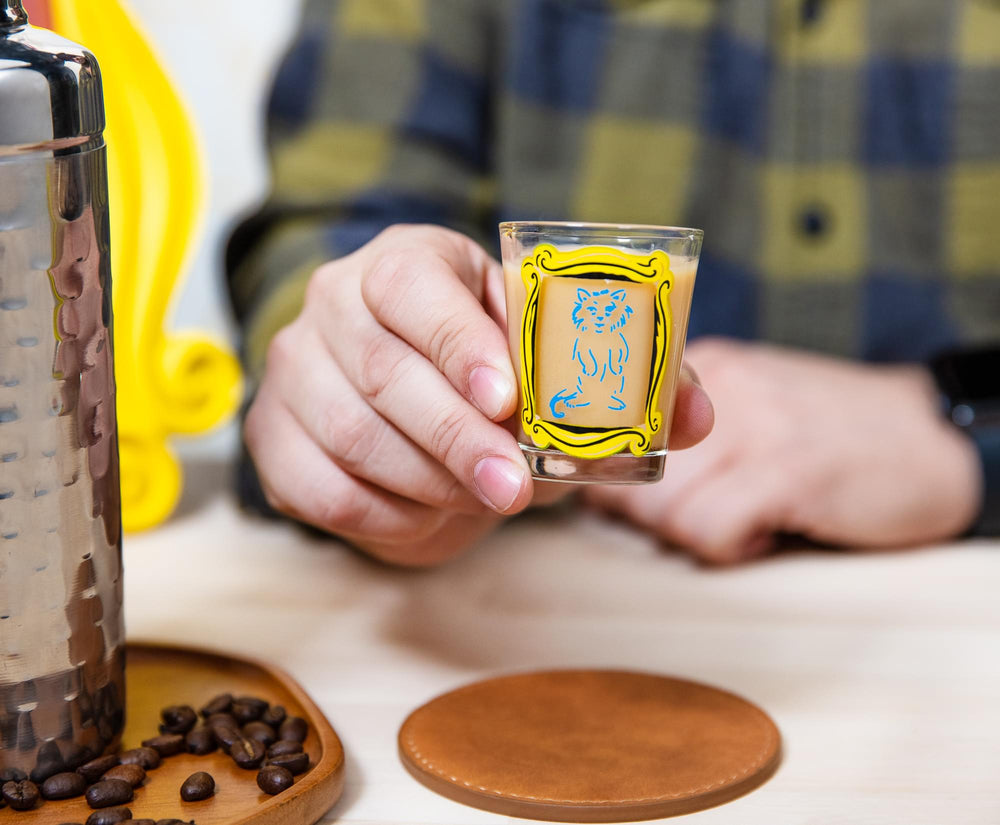 Friends Framed Quotes 4 Piece 1.5oz Mini Glass Set | Free Shipping