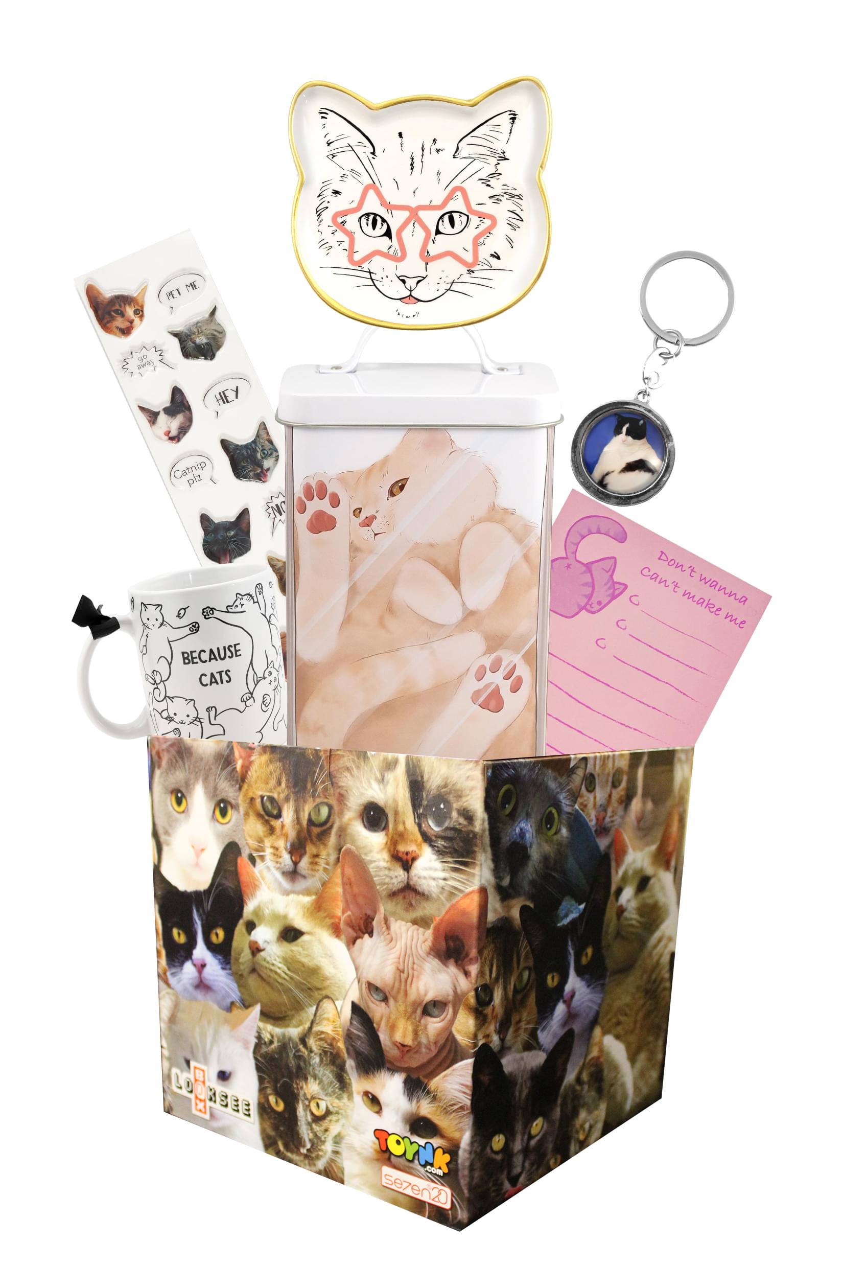 Cat Box Looksee Gift Box | Free Shipping