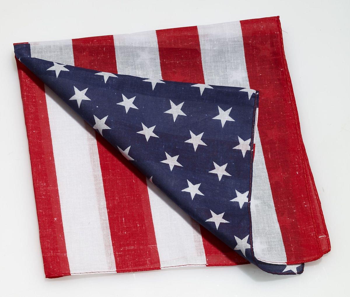 Patriotic Costume Bandana | Free Shipping