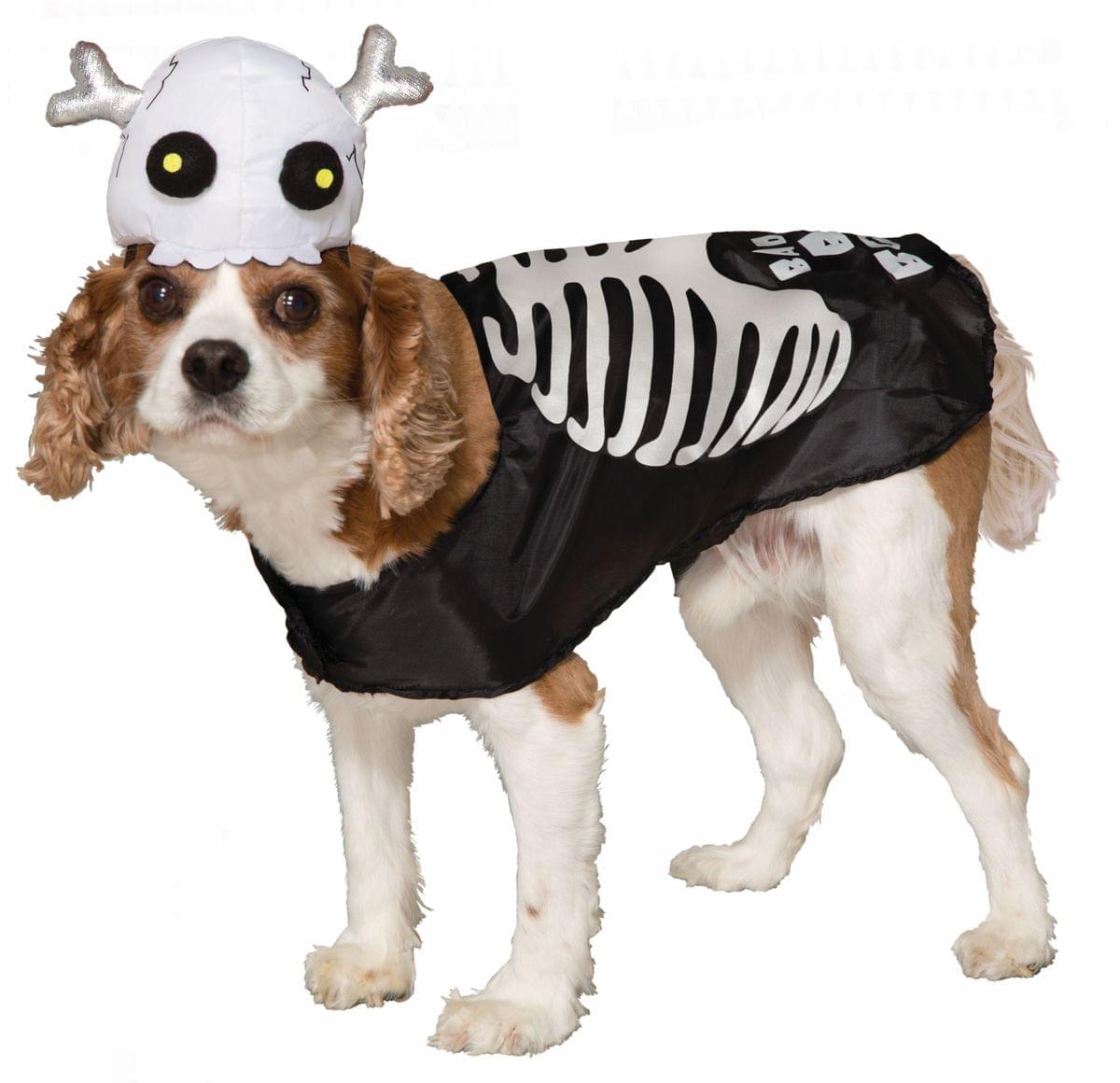 Skeleton Pet Costume | Free Shipping