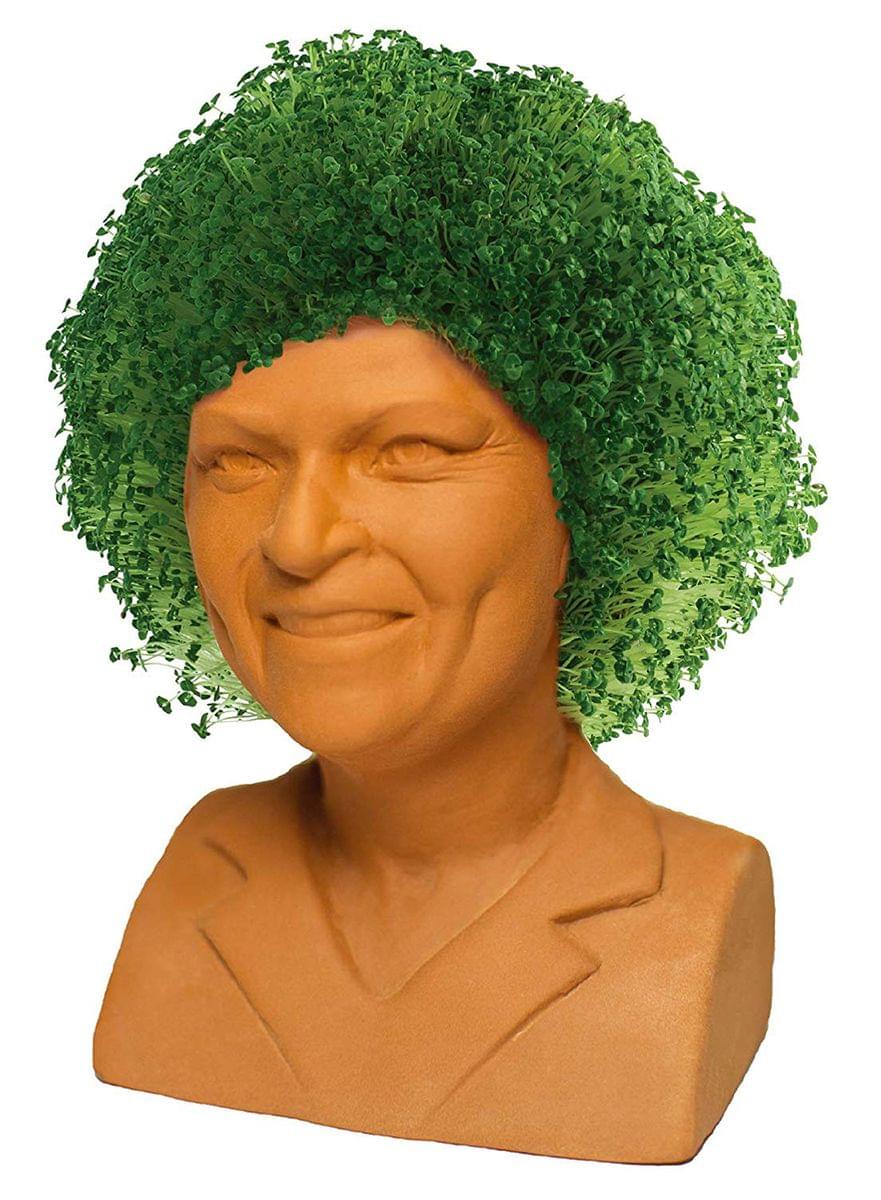 Golden Girls Chia Pet Rose Decorative Pottery Planter | Free Shipping