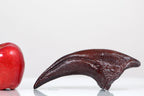 Allosaurus Toe Claw Resin Fossil Replica | Free Shipping