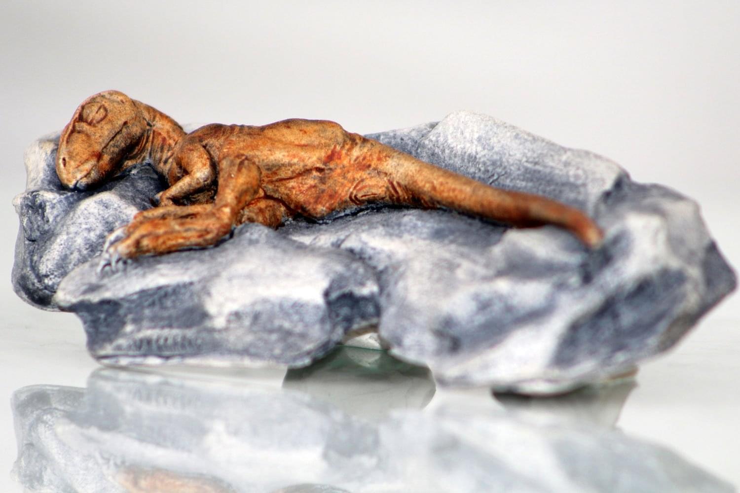 Small Velociraptor Resin Replica Dinorama | Free Shipping