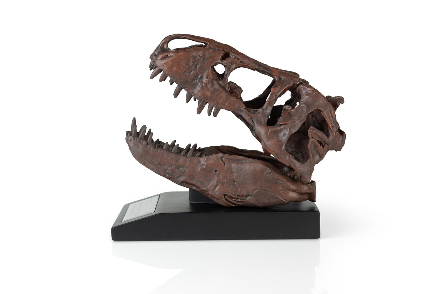 The Nation's T-Rex Skull Statue | 6-Inch Smithsonian Fossil Replica| 1