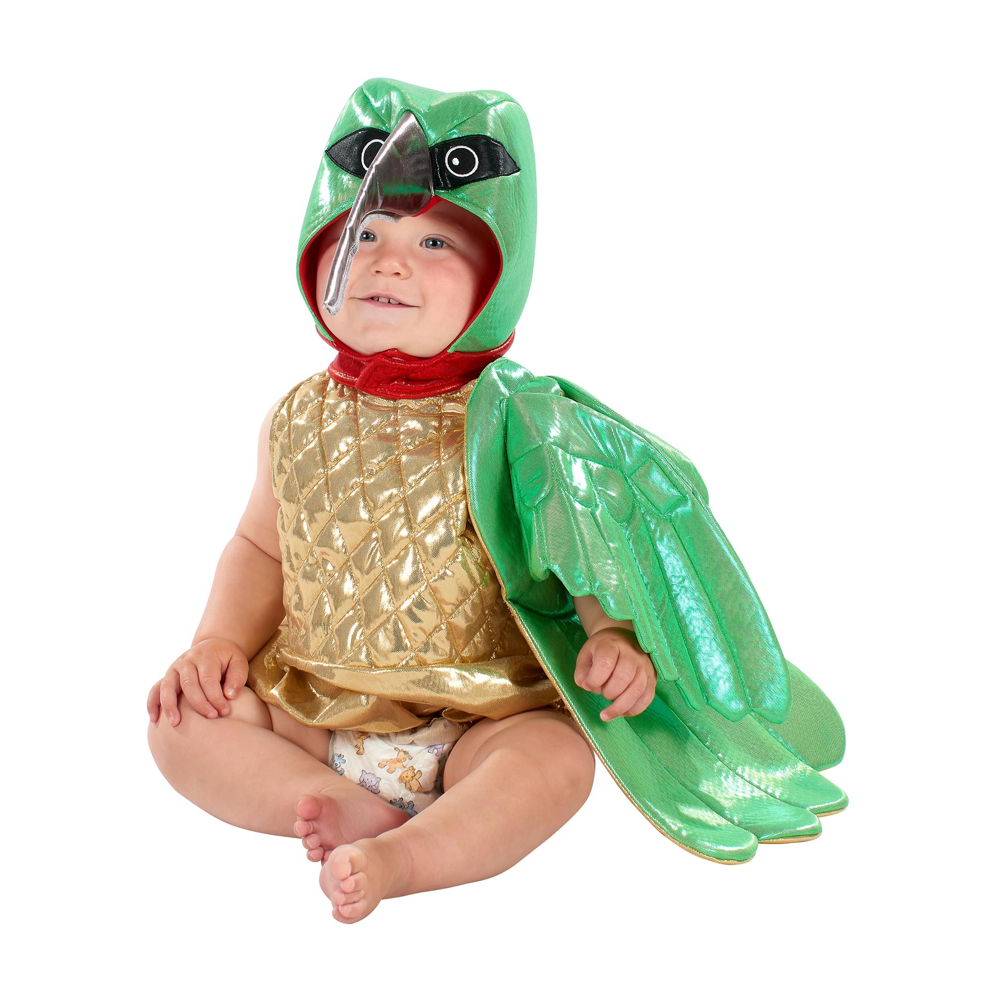 Hummingbird Infant Costume | 9-18 Months | Free Shipping