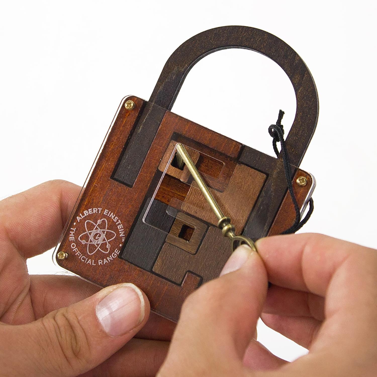 Einsteins Lock 3D Brain Teaser Puzzle | Free Shipping
