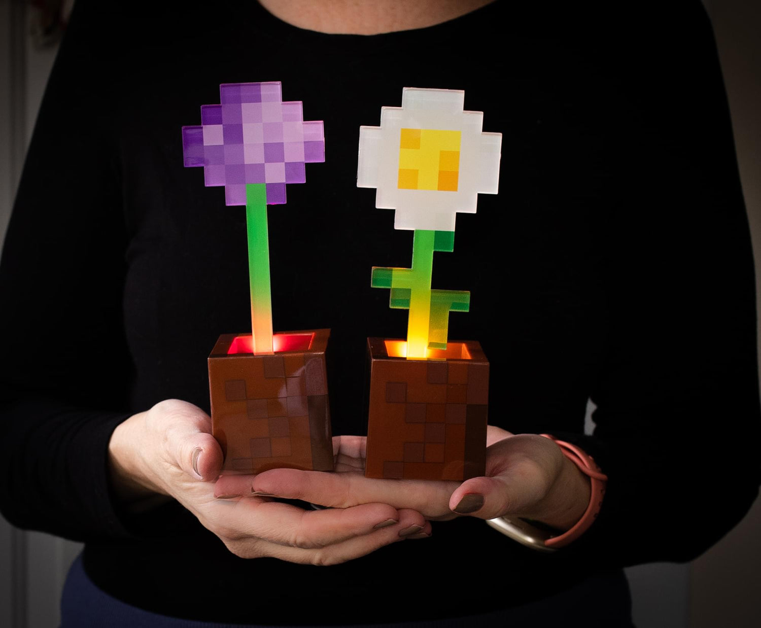 Minecraft Daisy & Poppy Flower Pot Mood Light Set | Free Shipping