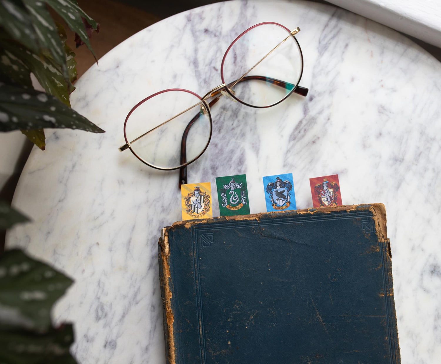 Harry Potter Hogwarts Sticky Note and Tab Box Set | Free Shipping