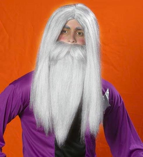 Wizard 22" White Costume Wig & Beard | Free Shipping